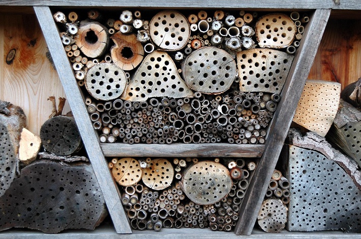 Insect Hotel • Insteading